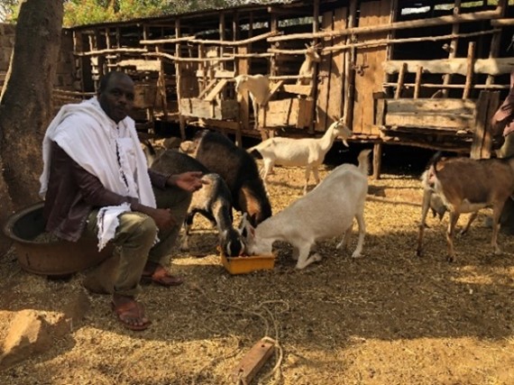 Jameel Observatory appoints Guyo Malicha Roba in leadership role ...